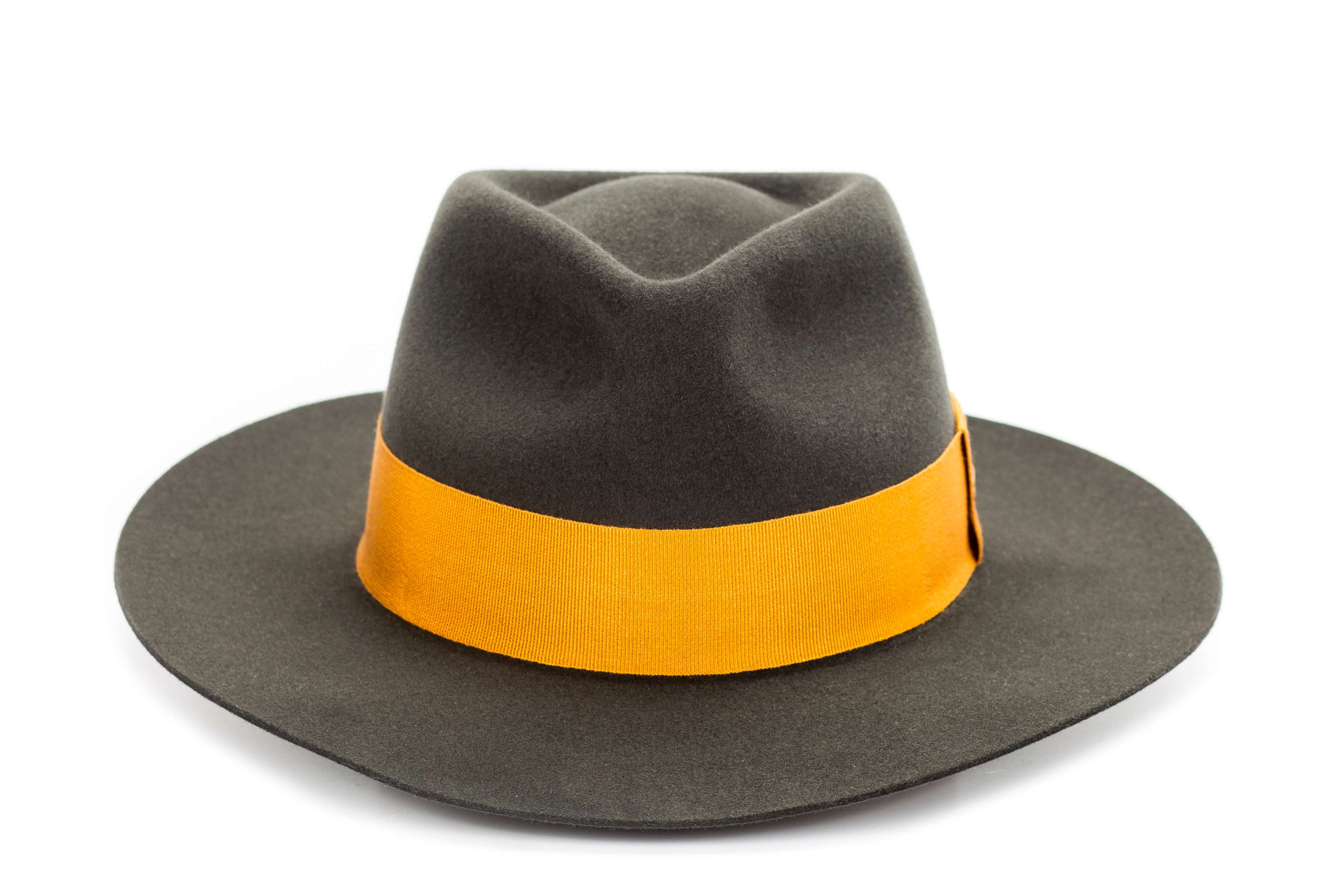 amelia - Fernández y Roche